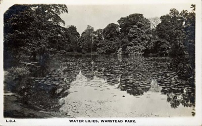Postcard: "Water lilies, Wanstead Park"; ARN0111 | eHive