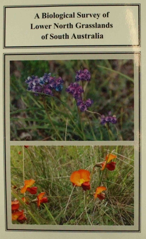 A Biological Survey of Lower North Grasslands of South Australia ...