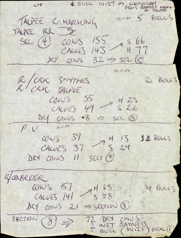 Handwritten calf marking numbers for Talpee dated 15/11/04 & 19/11/04 ...