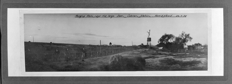 Murgha Ram near the large Dam Cobran Station, Homestead 26.6.20 ...