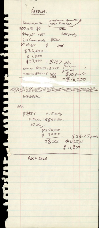 Handwritten costing note titled 'Feedlot' & 'Ravensworth'.; Unknown ...