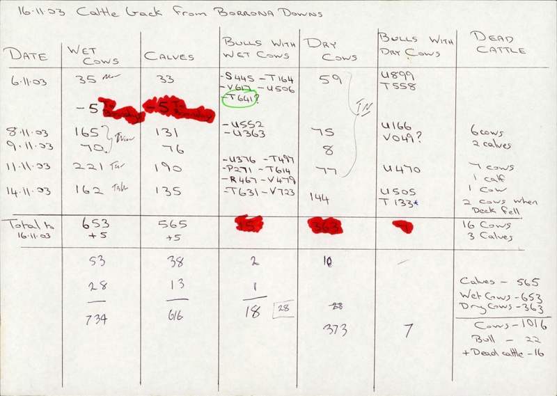 Cattle numbers - Two handwritten pages dated 16/11/2003 summarizing ...