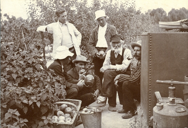 John BUICK in his orchard, with five other men. Circa 1907. ; Buick ...
