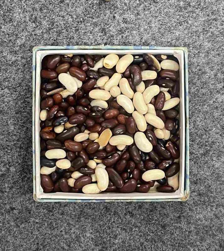 Voting Beans; 2023.2471 | eHive