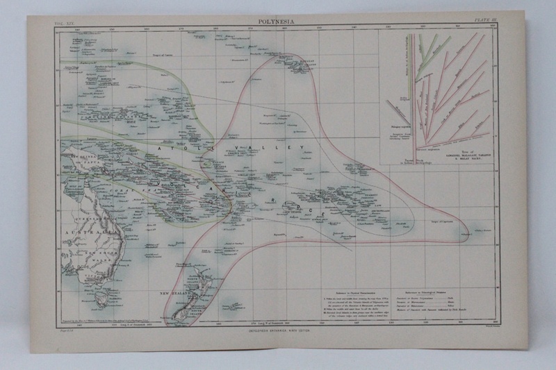Old Antique Map Polynesia New Zealand Polynesian Islands ; Johnston ...