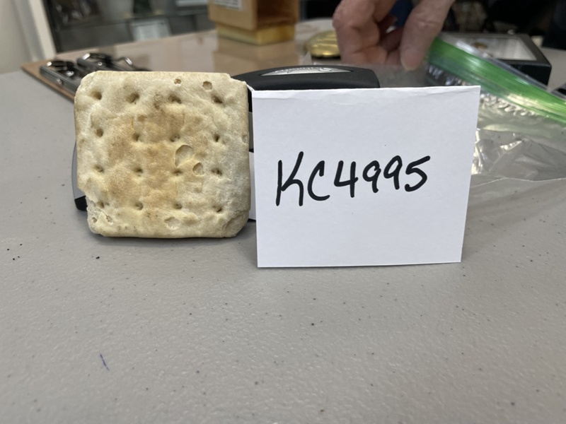 A piece of Hardtack which was eaten by reproduction war soldiers on ...