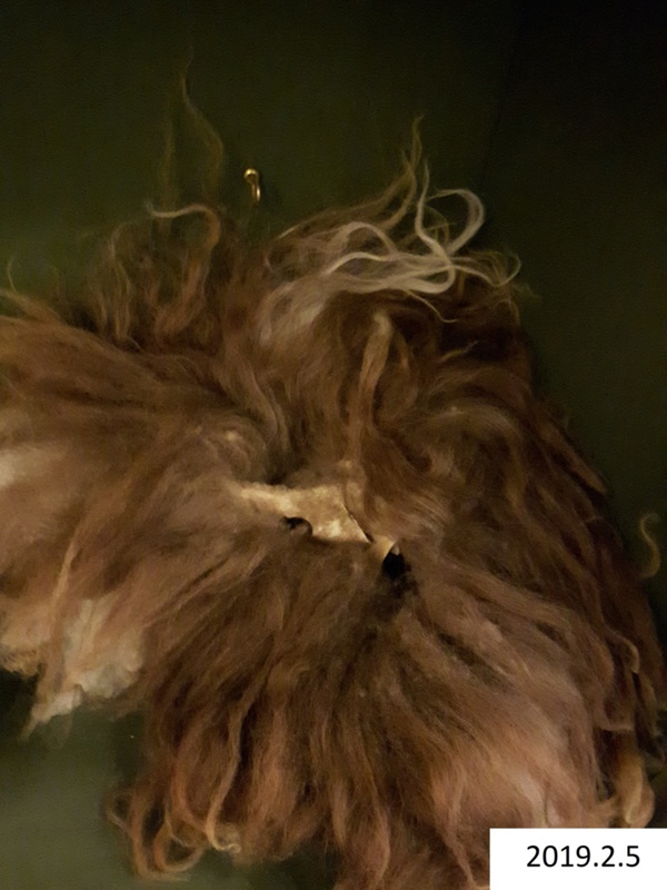 Bacchae Mask; Paolo Consiglio; ca. 2002; 2019.2.5 | eHive