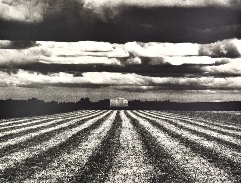 'A contrast of lines'; Eric KIMBLE; c.1992; MC.1992.0011 | eHive