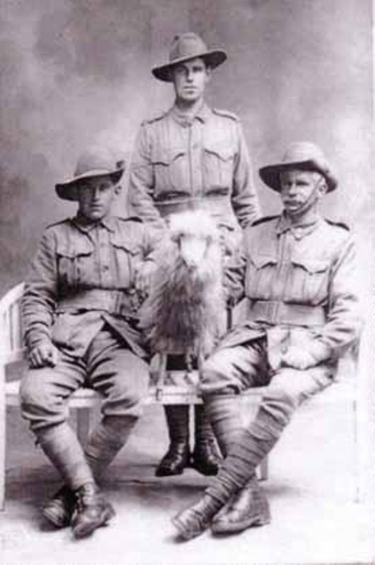 Sam Cock; 1917; P6150 | eHive