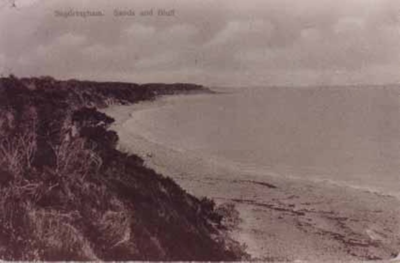 Sandringham. Sands and bluff; c. 1908; P2053|P2054 | eHive