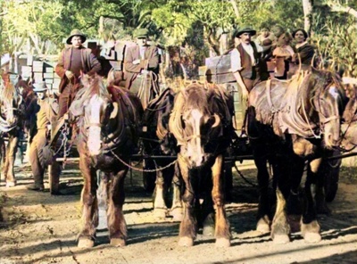 Nannup Historical Society & Museum inc. on eHive