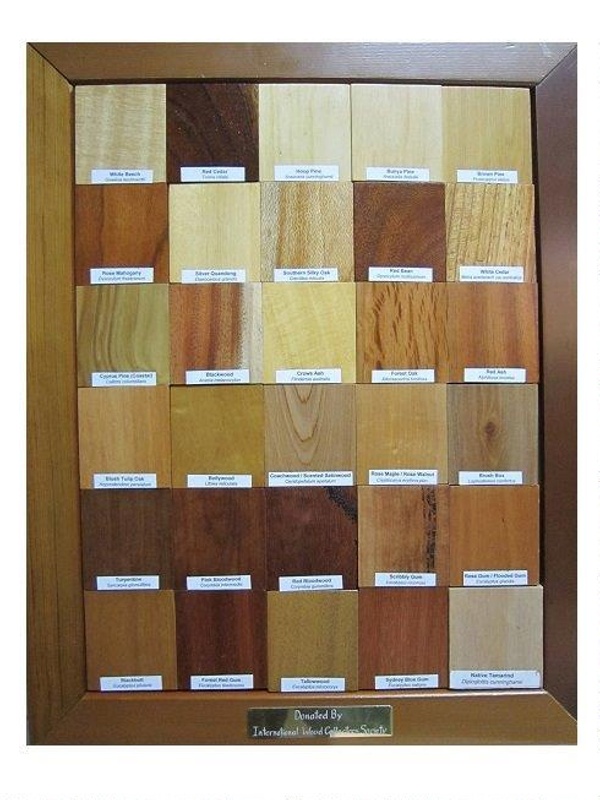 Display of Timber samples; 02417 | eHive
