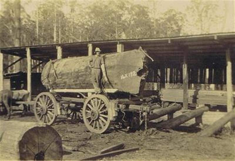 Jim Morgan On Wagon; No Date; BH1857 | eHive