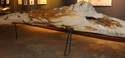 Carved blue whale jawbone; 2018-001 | eHive
