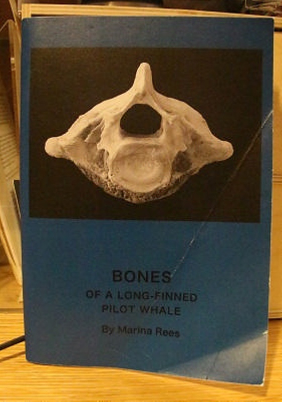 BONES OF A LONG-FINNED PILOT WHALE; Marina Rees; 2019-059 | eHive